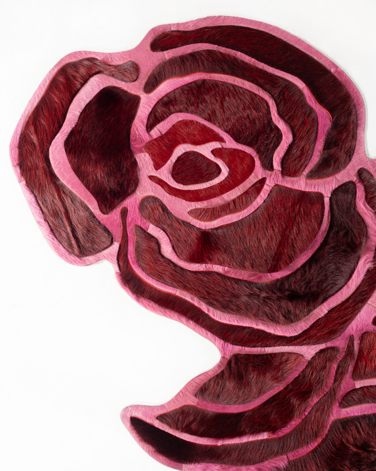 Bloom 12340 - Kyle Bunting