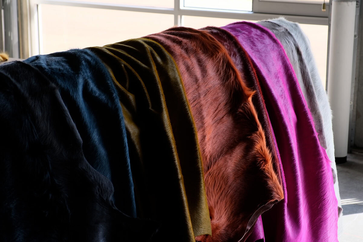 Raw Hide - Kyle Bunting