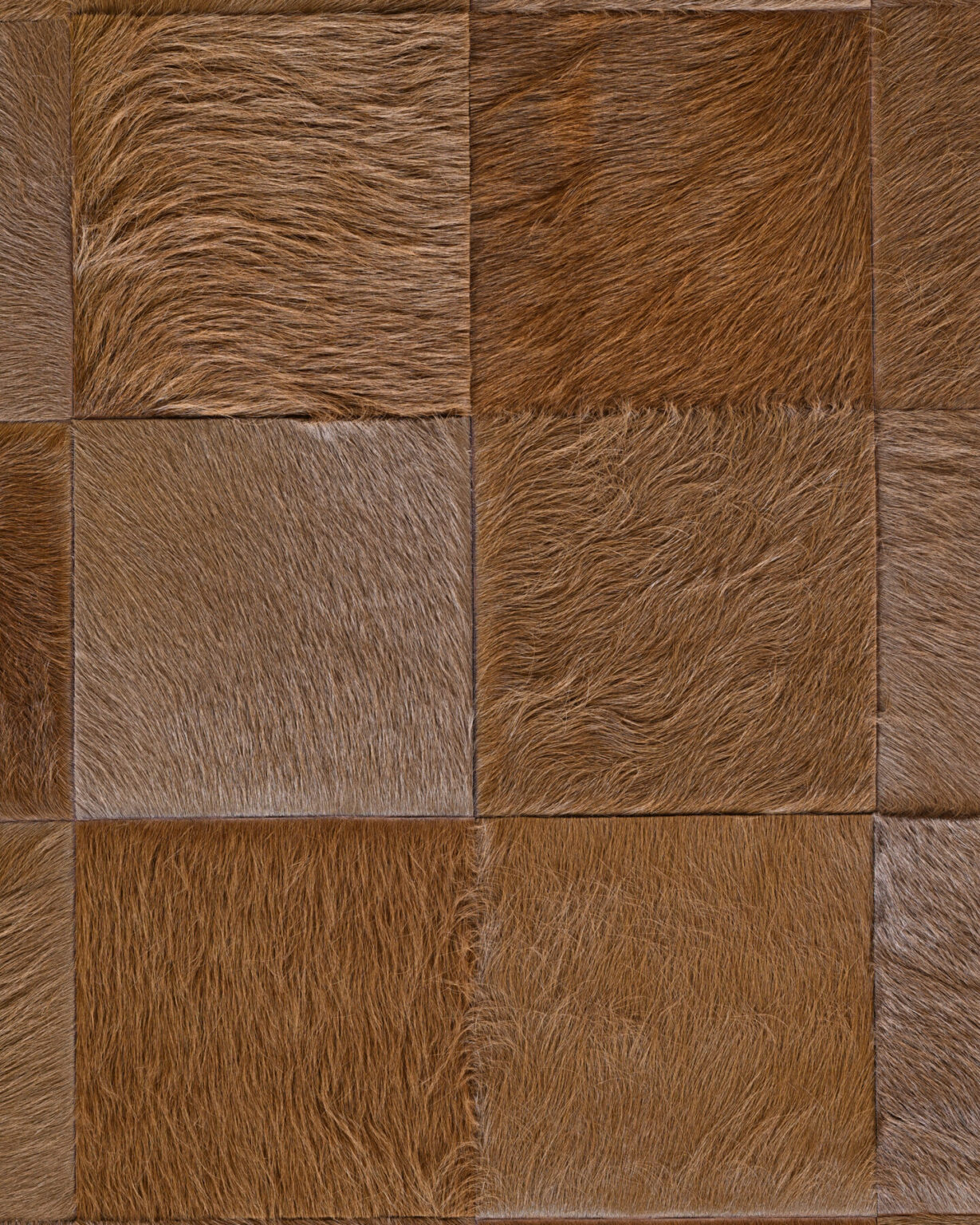 3 Lock Box 03614 - Kyle Bunting